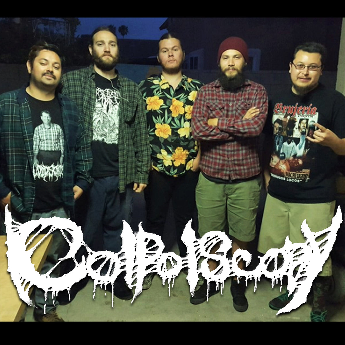 Colpolscopy — Gore House Productions