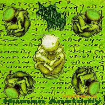 Drain of Impurity - Human Anatomy — Gore House Productions